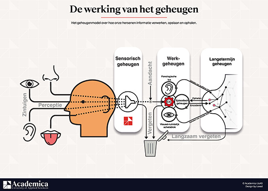 Poster - De werking van het geheugen